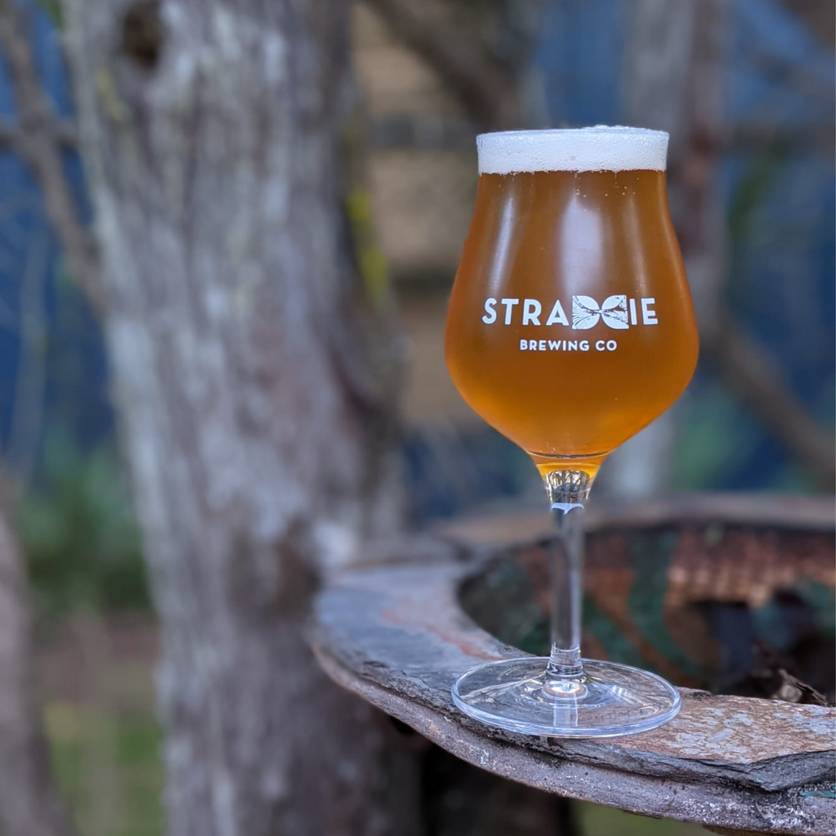 Straddie Brewing Co Stemmed Beer Glass – Straddie Brewing Company